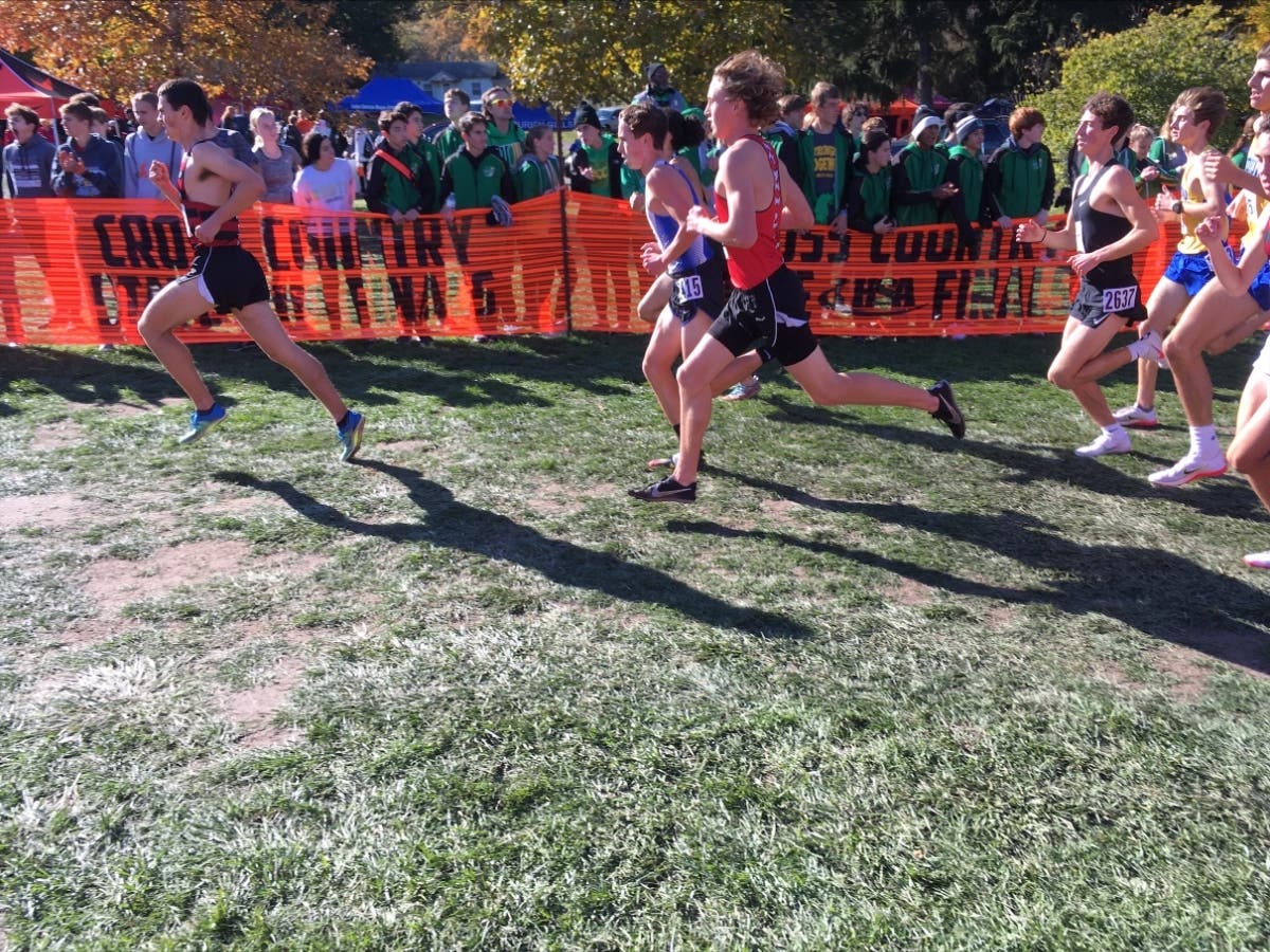 LW Central Cross Country Captain Places 9th In State | New Lenox, IL Patch