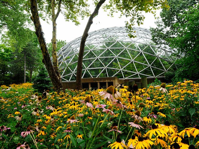 Make The Most Of Your Queens Zoo Visit This Summer | New York City, NY ...