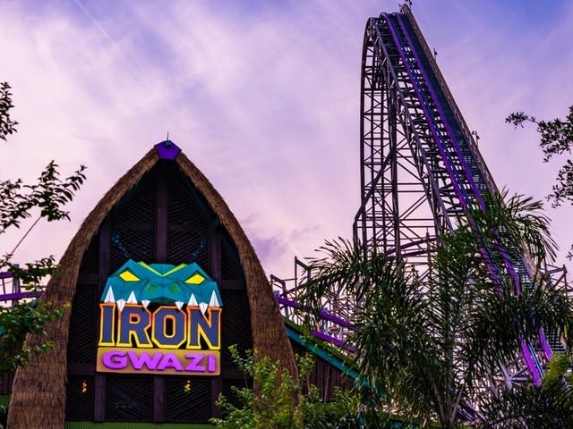 Iron Gwazi Coaster To Open In March At Busch Gardens Tampa Bay | Tampa ...