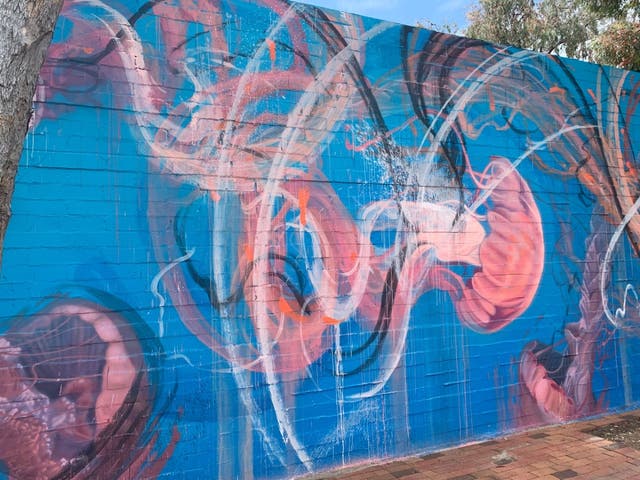 Mural 'Sea Walls: Artists For Oceans' On Display In Downtown Laguna ...