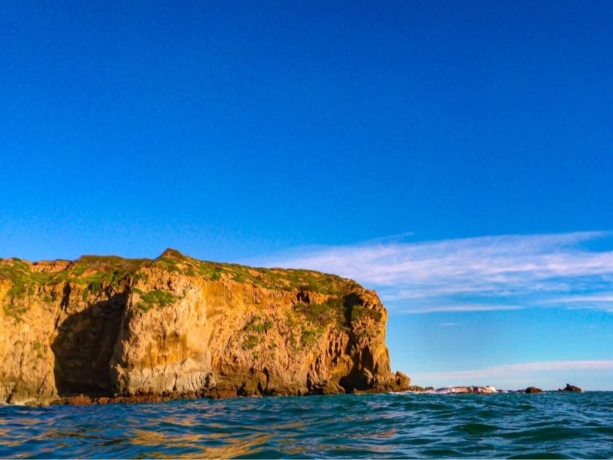 Blue Beauty On Strands Beach: Photo Of The Day | Laguna Niguel, CA Patch