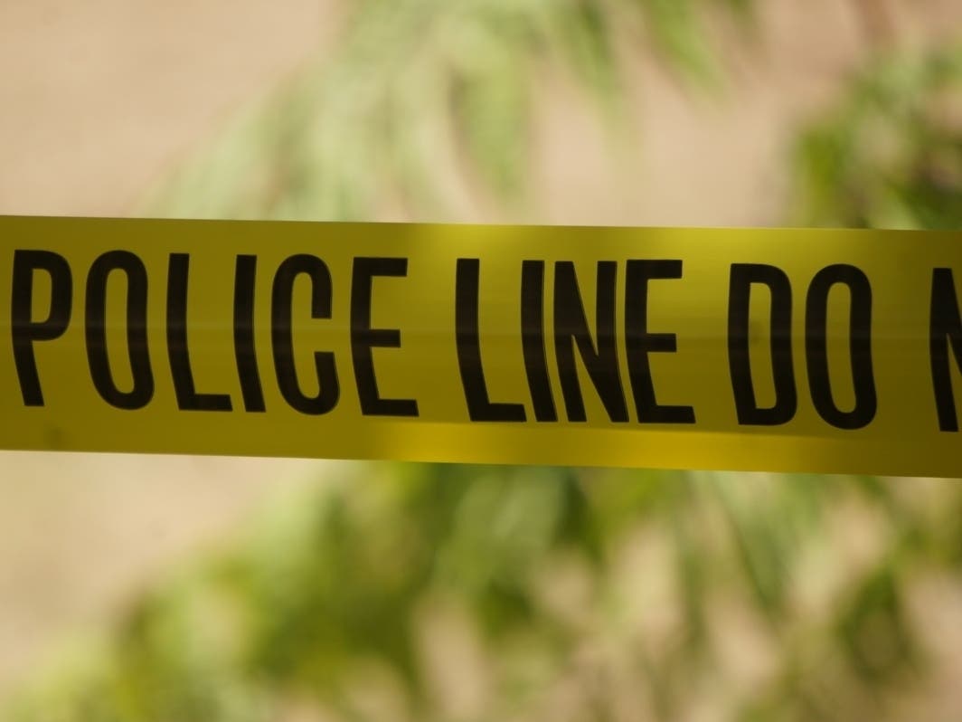 Lake Forest Man Charged With Hit-And-Run That Killed 63-Year-Old | Lake ...