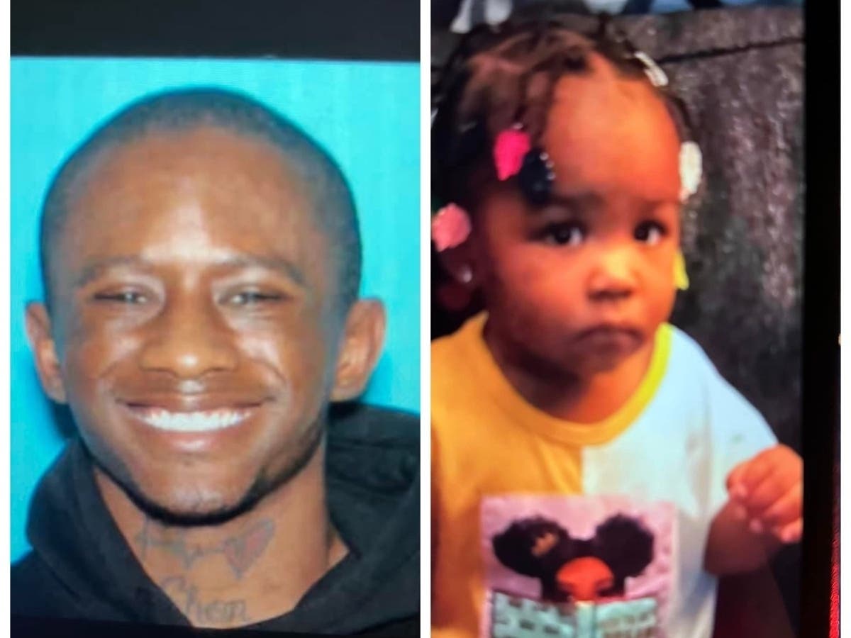 Girl, 2, Still Missing After Man Arrested In St. Clair Shores: Police ...