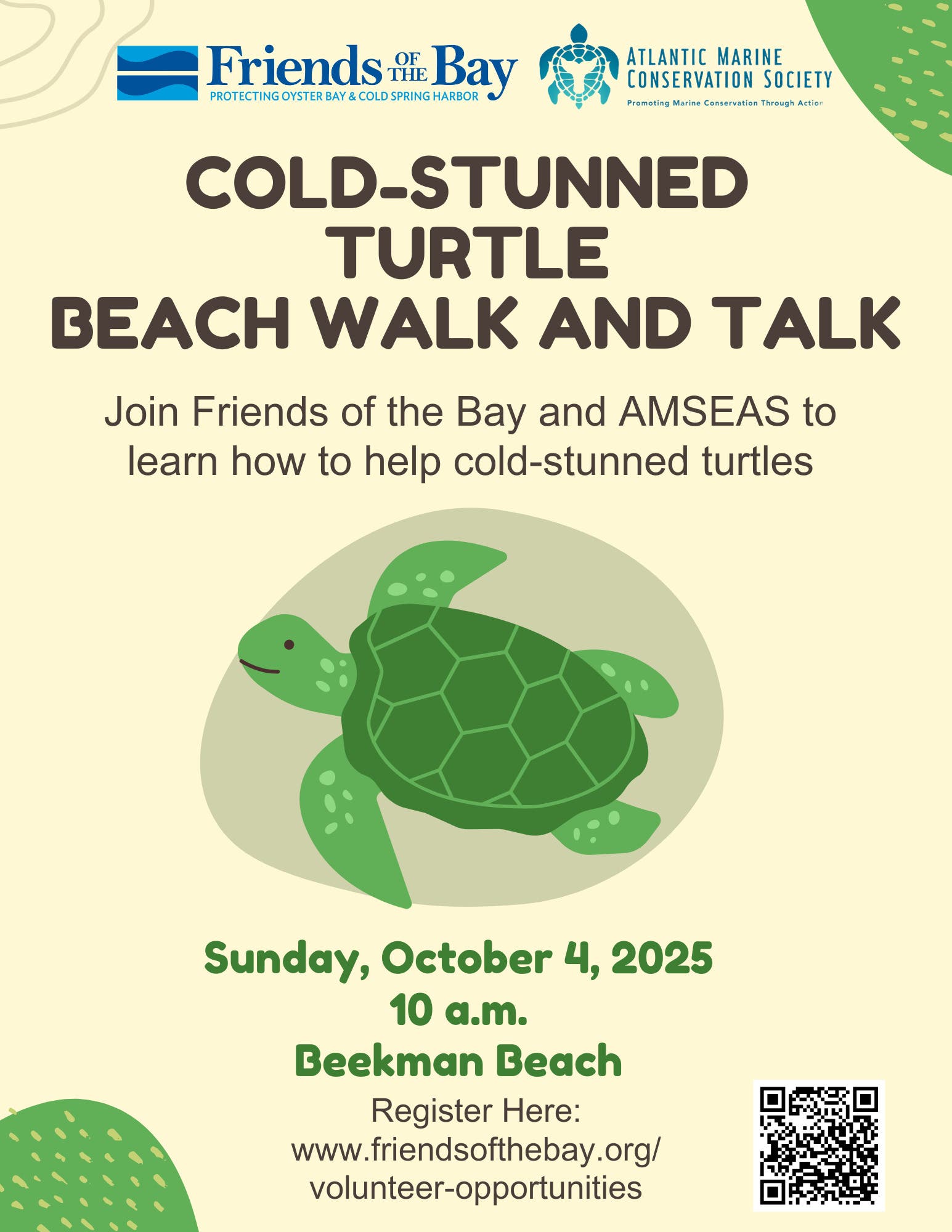 Oct 4 | Cold-Stunned Turtle Walk and Talk | Oyster Bay, NY Patch