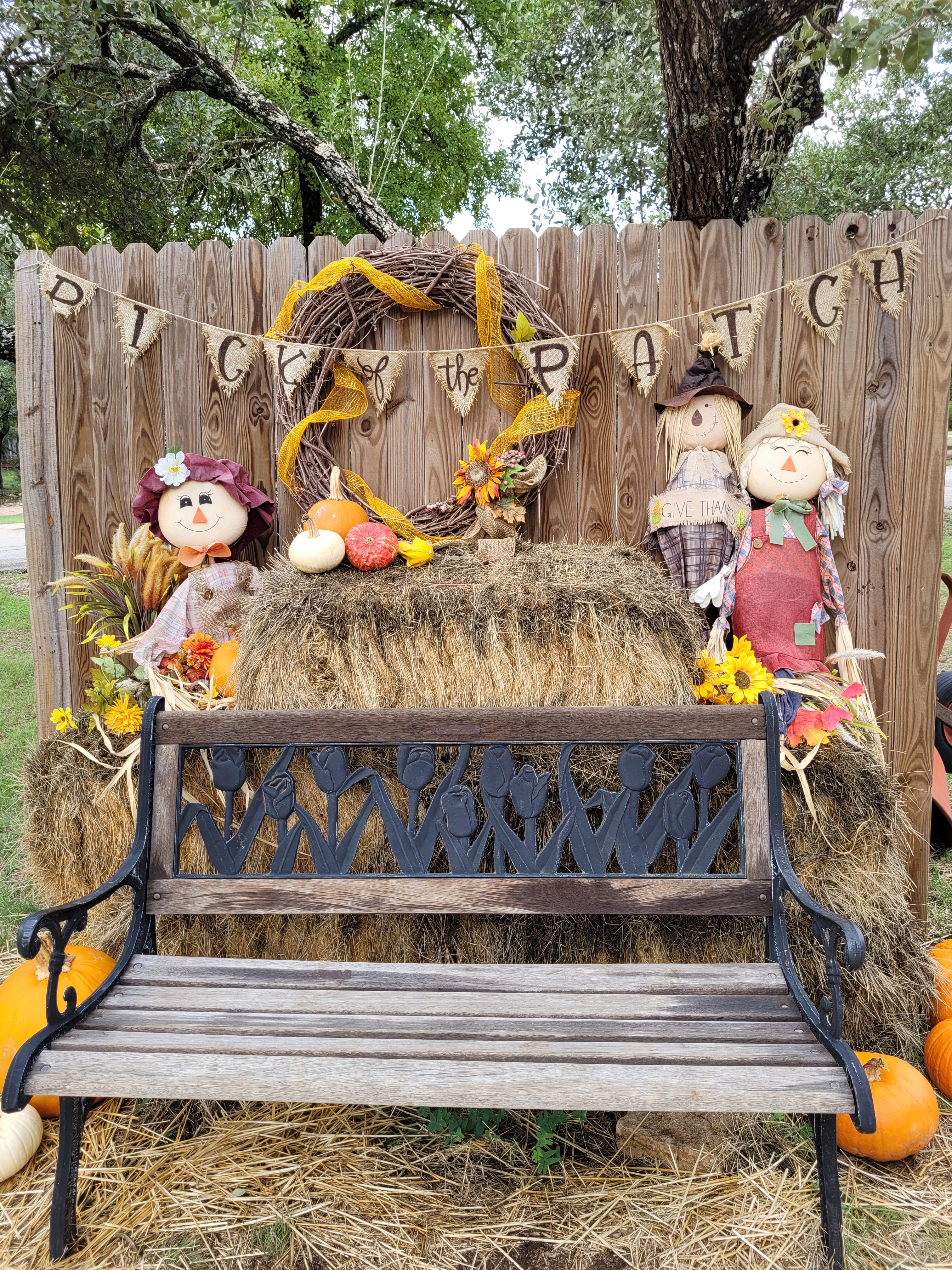 Oct 17 | Rockbridge Pumpkin Patch | Cedar Park, TX Patch