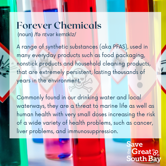 Are Forever Chemicals Really 'Forever'?: Save The Great South Bay WOW ...
