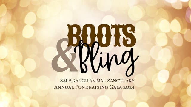 Jul 27 | Boots & Bling Fundraising Gala | Temecula, CA Patch
