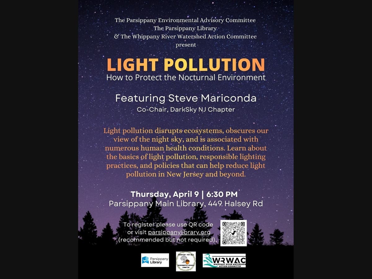 Light Pollution - How to Protect the Nocturnal Environment | Parsippany ...