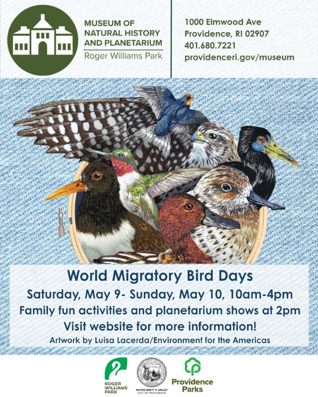 May 9 | World Migratory Bird Days at the Museum of Natural History ...