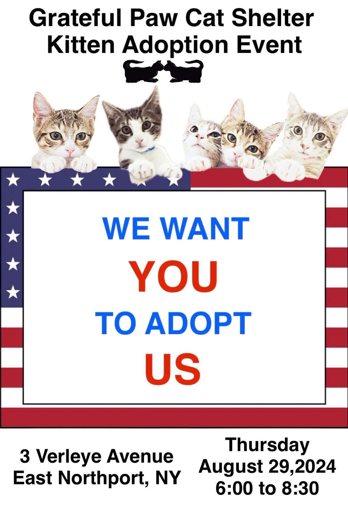 Aug 29 | Grateful Paw’s Kitten Adoption Day | Huntington, NY Patch