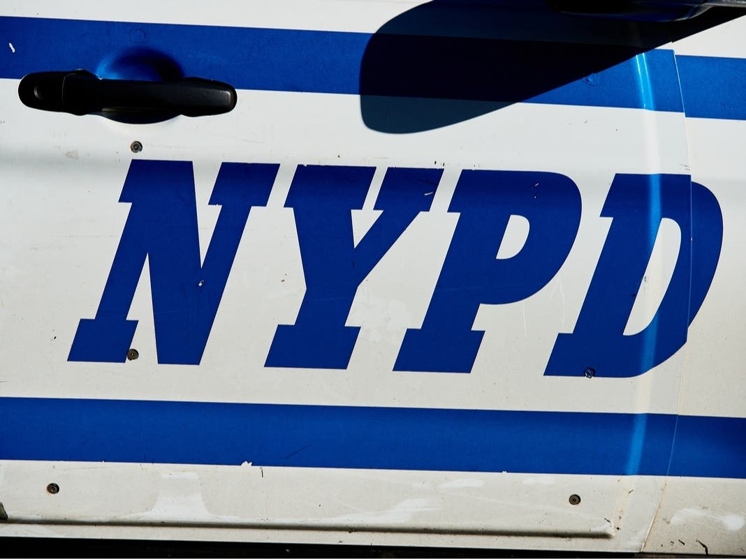 Human Skull Found Off Coney Island Boardwalk, Police Say | Brooklyn, NY ...