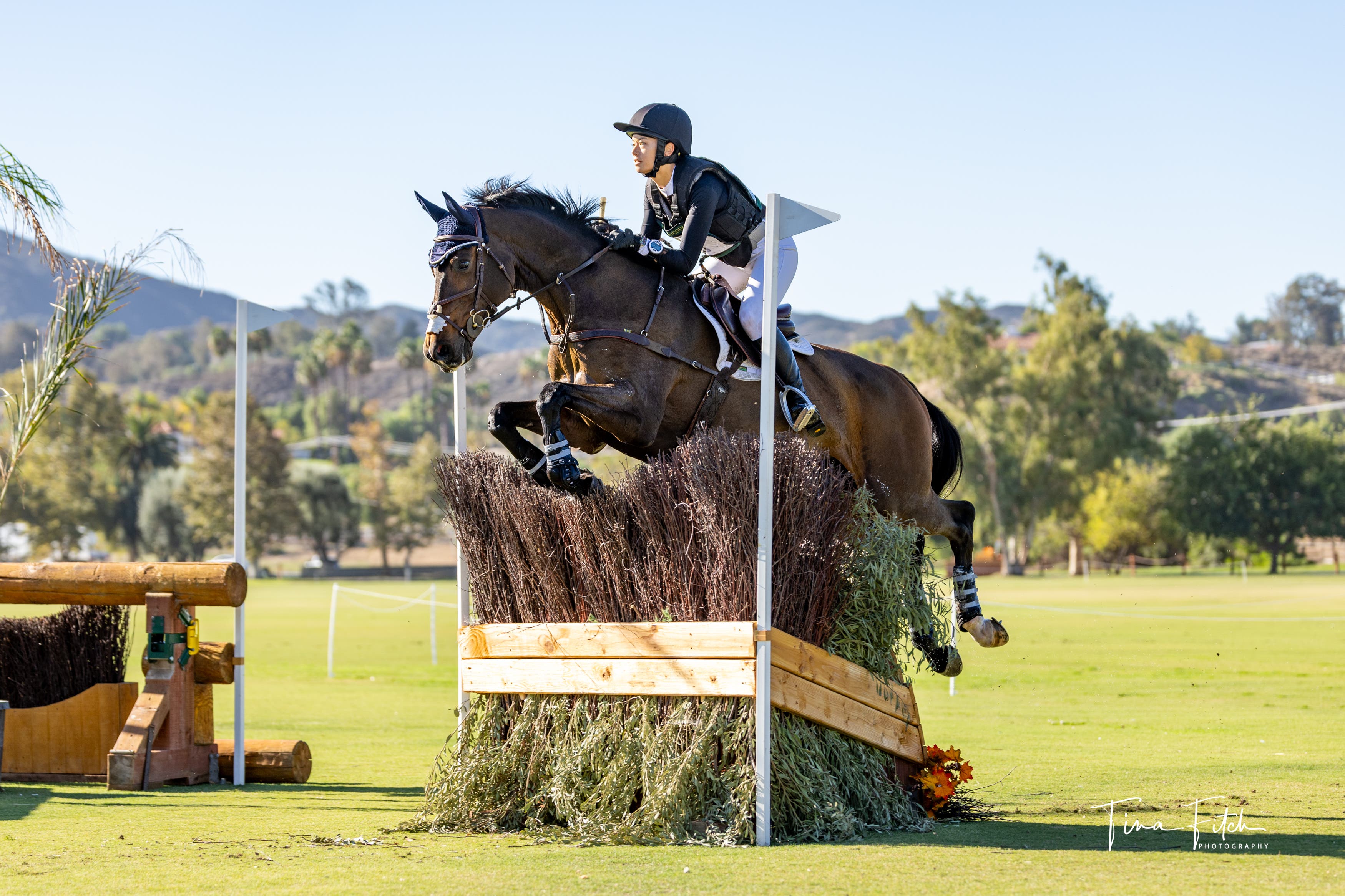 Mar 27 | VIP Equestrian Tour | Temecula, CA Patch