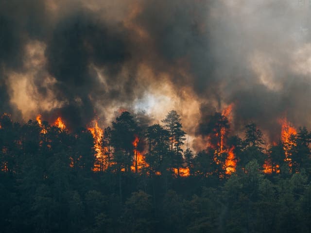 Jones Road Fire In NJ Reaches 15.3K Acres, 60% Containment | Lacey, NJ ...