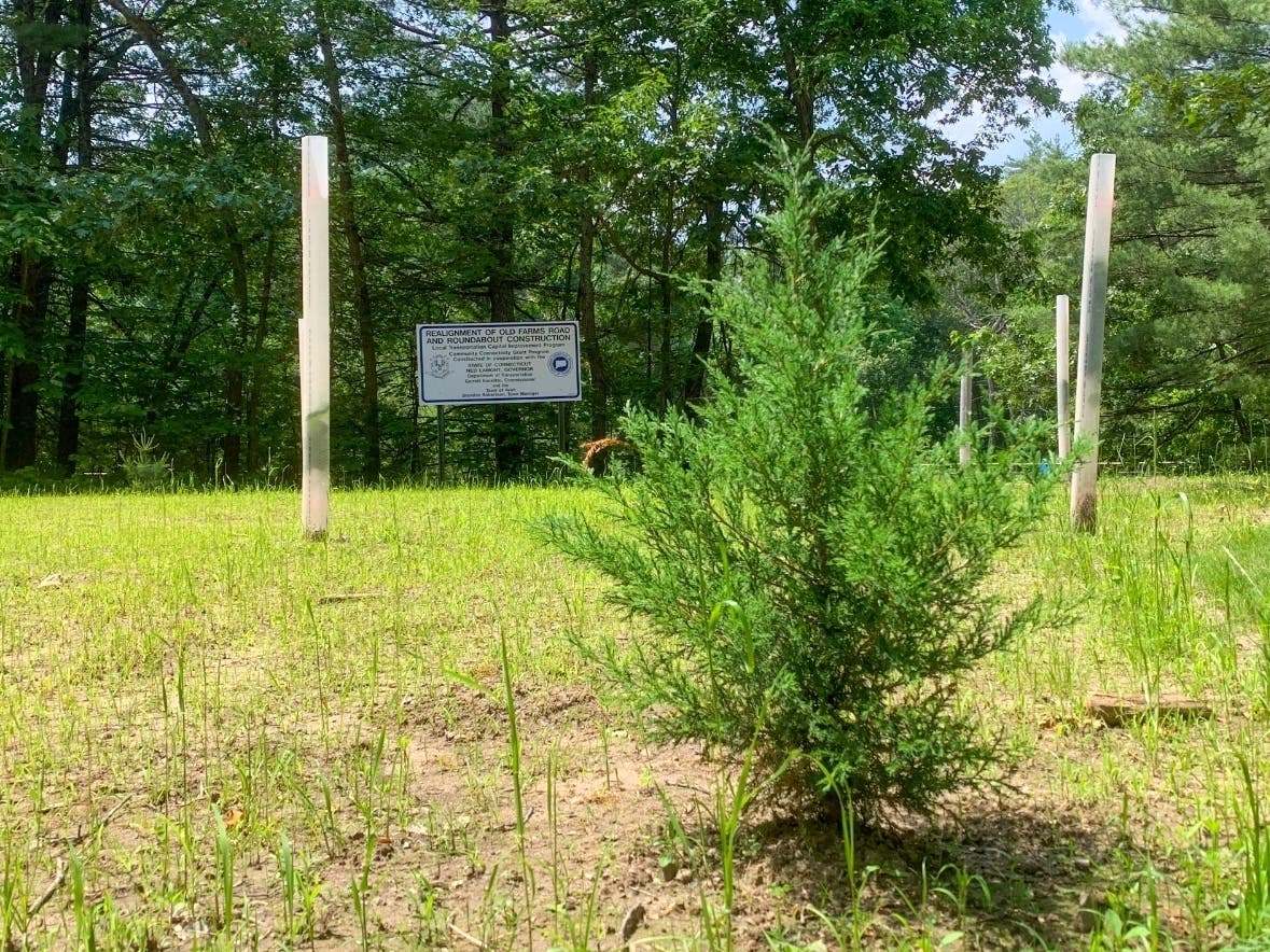 Scout Greens Up Aftereffects Of Road Project Near Avon School | Avon ...