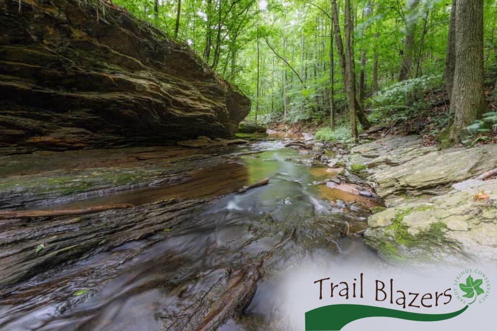 Jun 7 | Trail Blazer Guided Walk at Johnson Ferry North Trail | Sandy ...