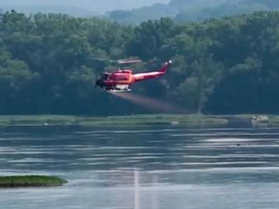 Black Fly Spraying Scheduled Along Delaware River, Tohickon Creek | New ...