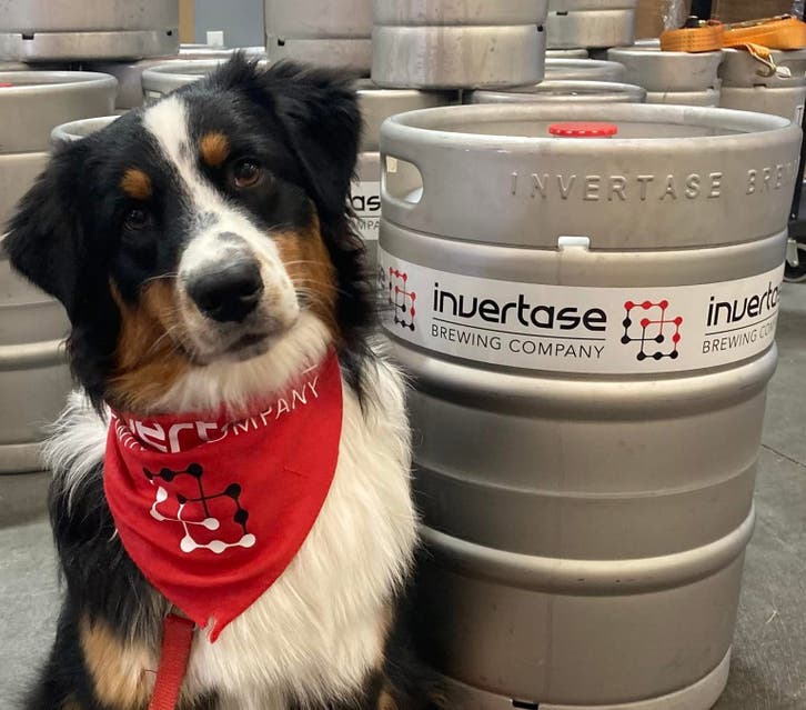 New Lambertville Taproom Opens, Promises 'Flavorful Journey' With Each ...