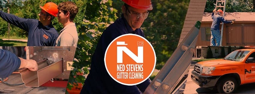 Ned Stevens Logo