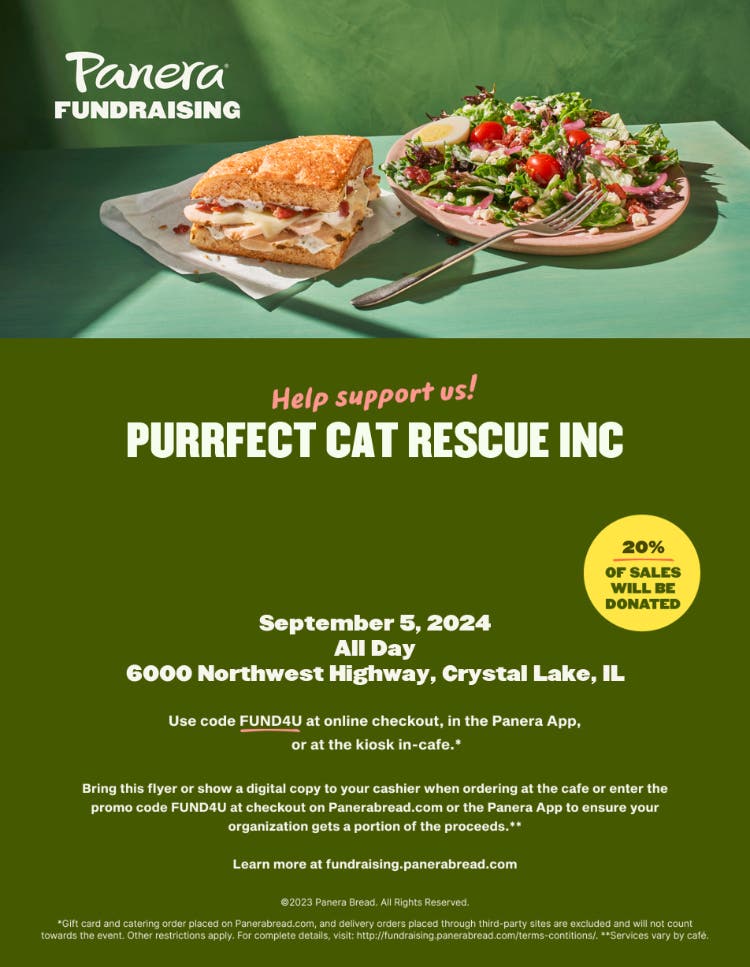 Sep 5 | Purrfect Cat Rescue - Chow & Meow Fundraiser at Panera Bread in ...