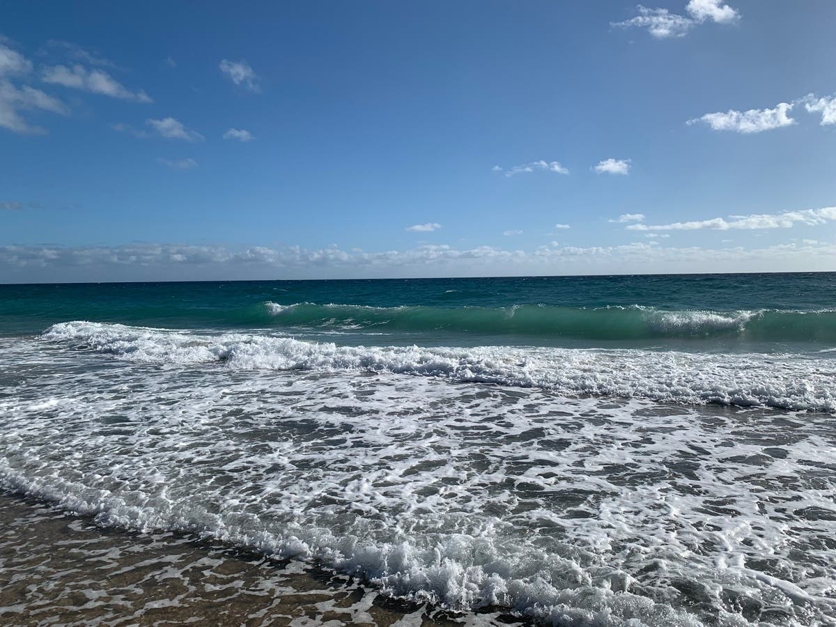 Venice Beaches Sparkle According To Beach Pollution Report | Venice, CA ...