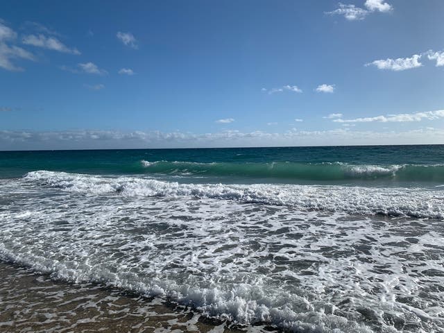 Venice Beaches Sparkle According To Beach Pollution Report | Venice, CA ...