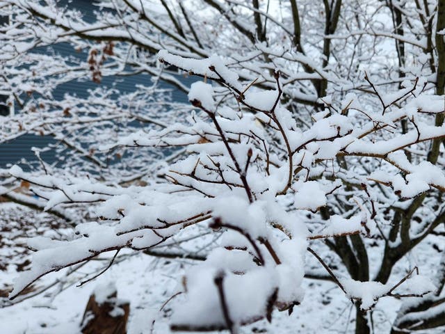 Arctic Cold To Freeze Lake Forest: Where To Find Warming Centers | Lake ...