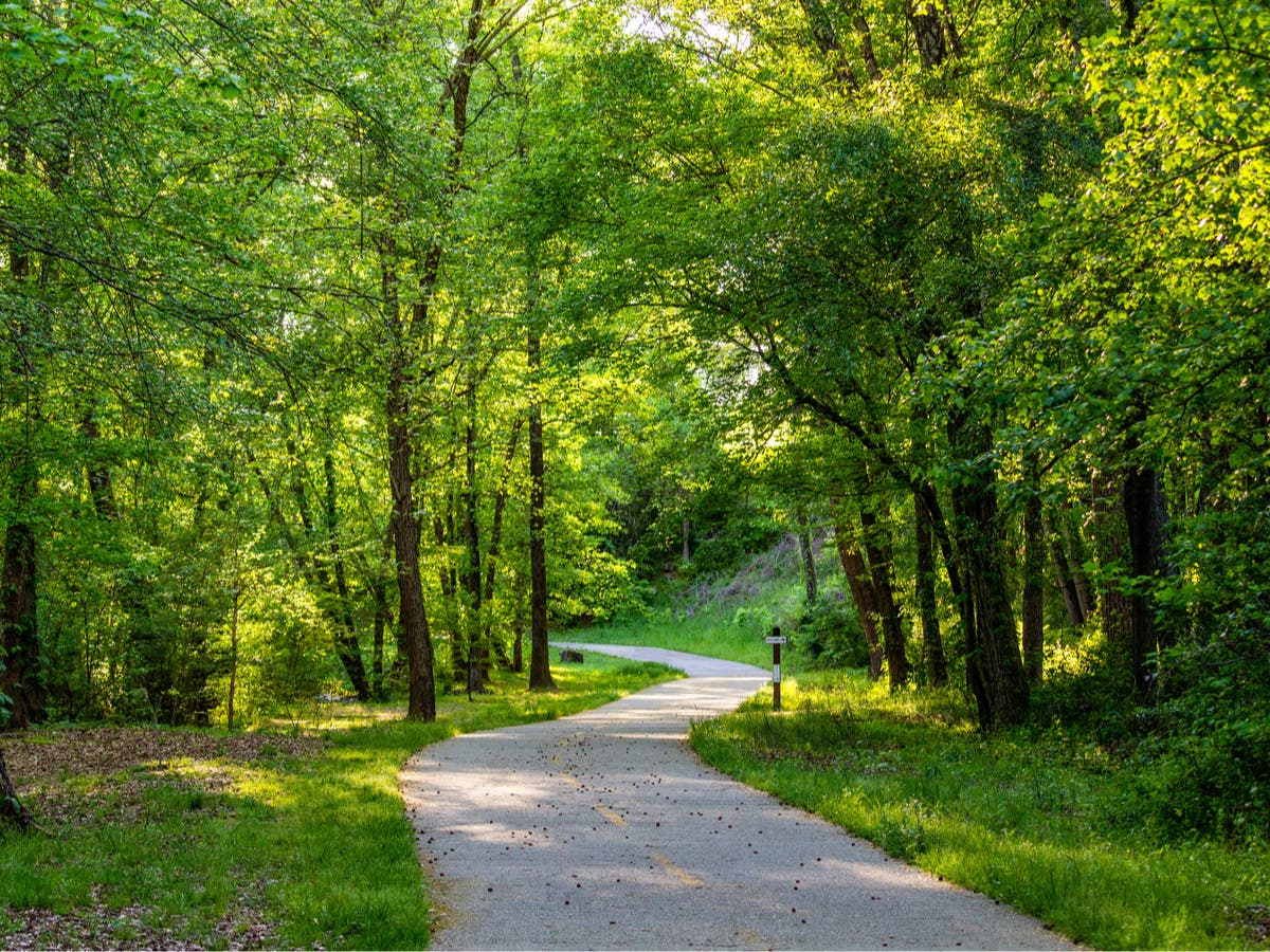 Lake Forest And Lake Bluff Named Tree Cities USA For 2026 | Lake Forest ...