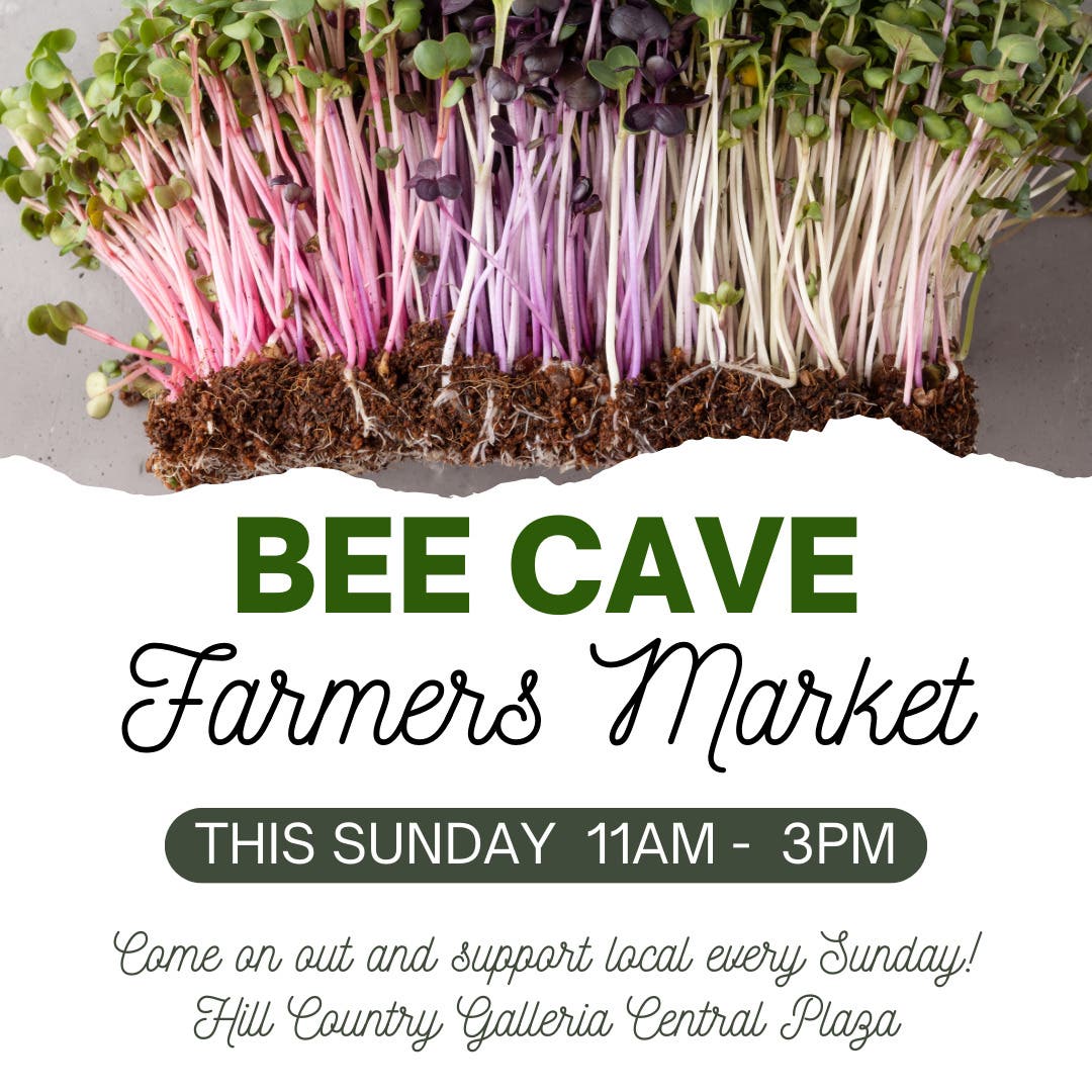 Mar 1 | Bee Cave Farmers Market | Bee Cave, TX Patch