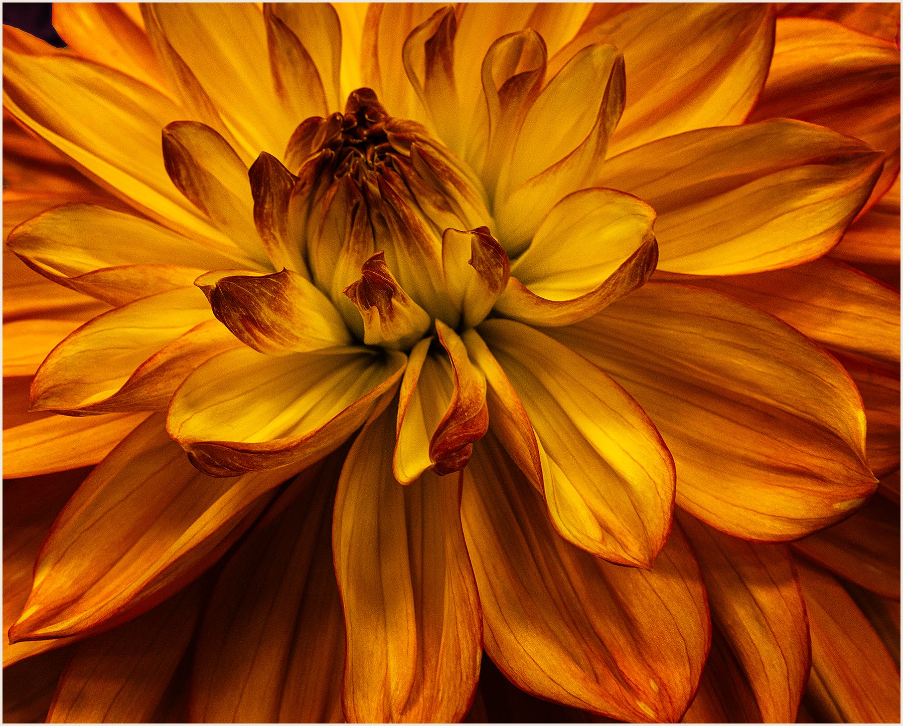 Mar 7 | See The World Thru Our Lens: Photographs by the Manhasset-Great ...