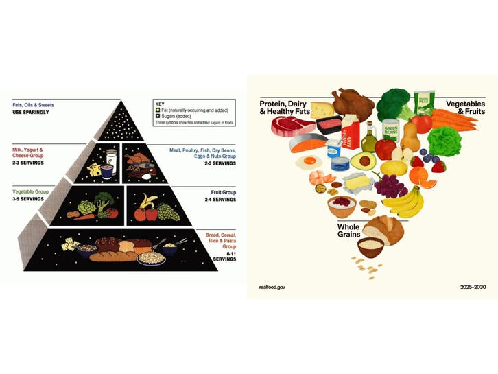 Feds' New Food Pyramid Shows Adjusted Dietary Guidelines For GA ...