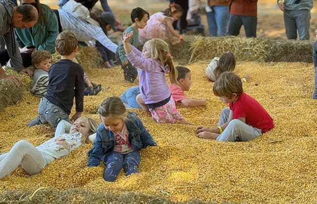 Oct 5 | Earthplace Fall Festival | Westport, CT Patch