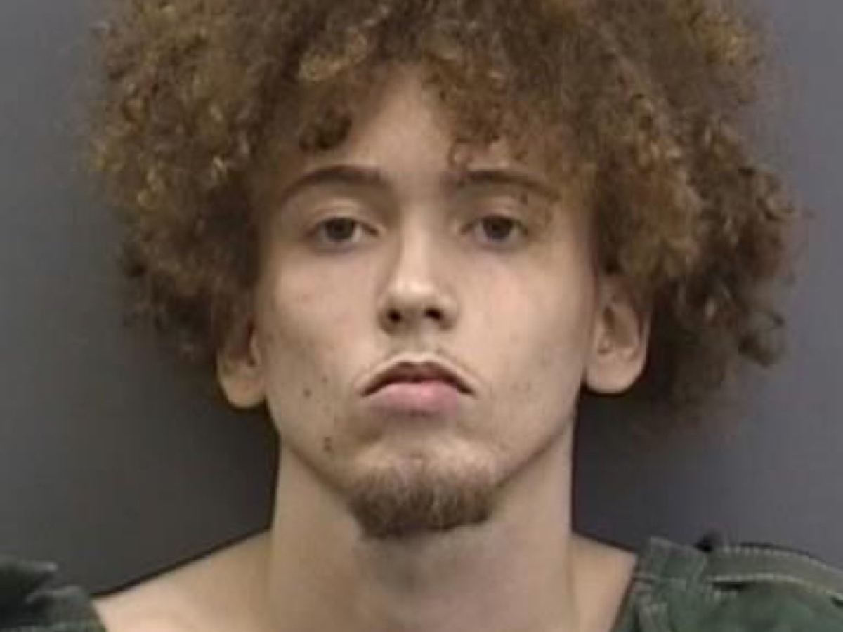 1 Arrested In Tampa Halloween Shooting That Killed 2, Injured 18 More ...
