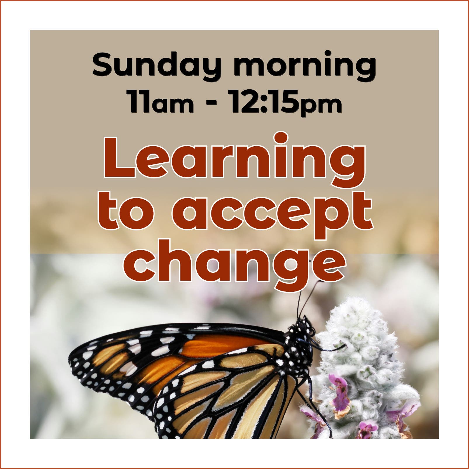 Mar 10 | Learning to accept change | South Austin, TX Patch