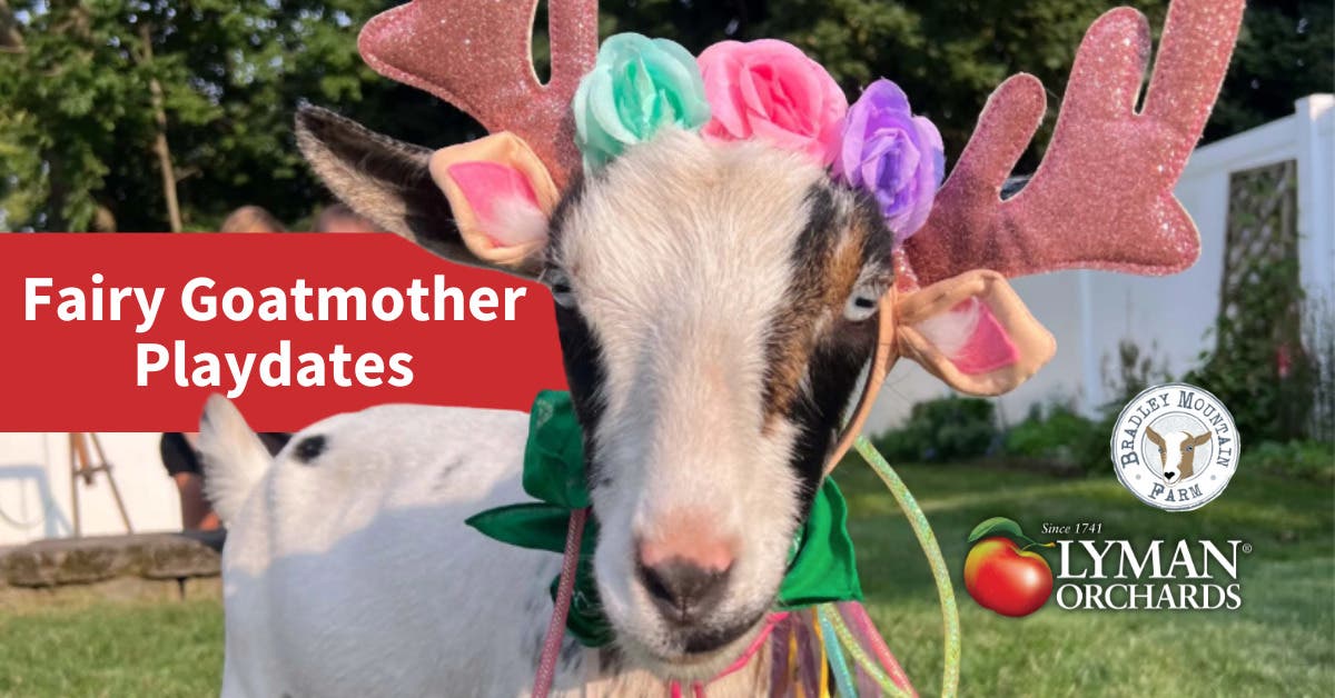 Feb 19 | Fairy Goatmother Playdates at Lyman Orchards | Middletown, CT ...