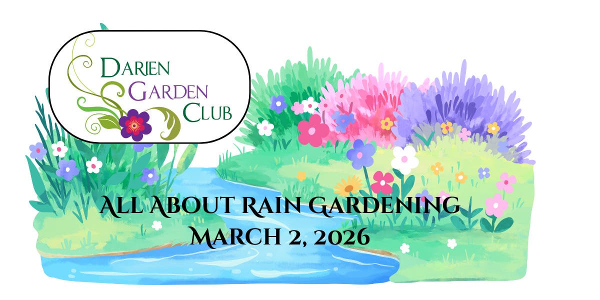 Mar 2 | Rain Gardening: Do You Need a Rain Garden? | Darien, IL Patch
