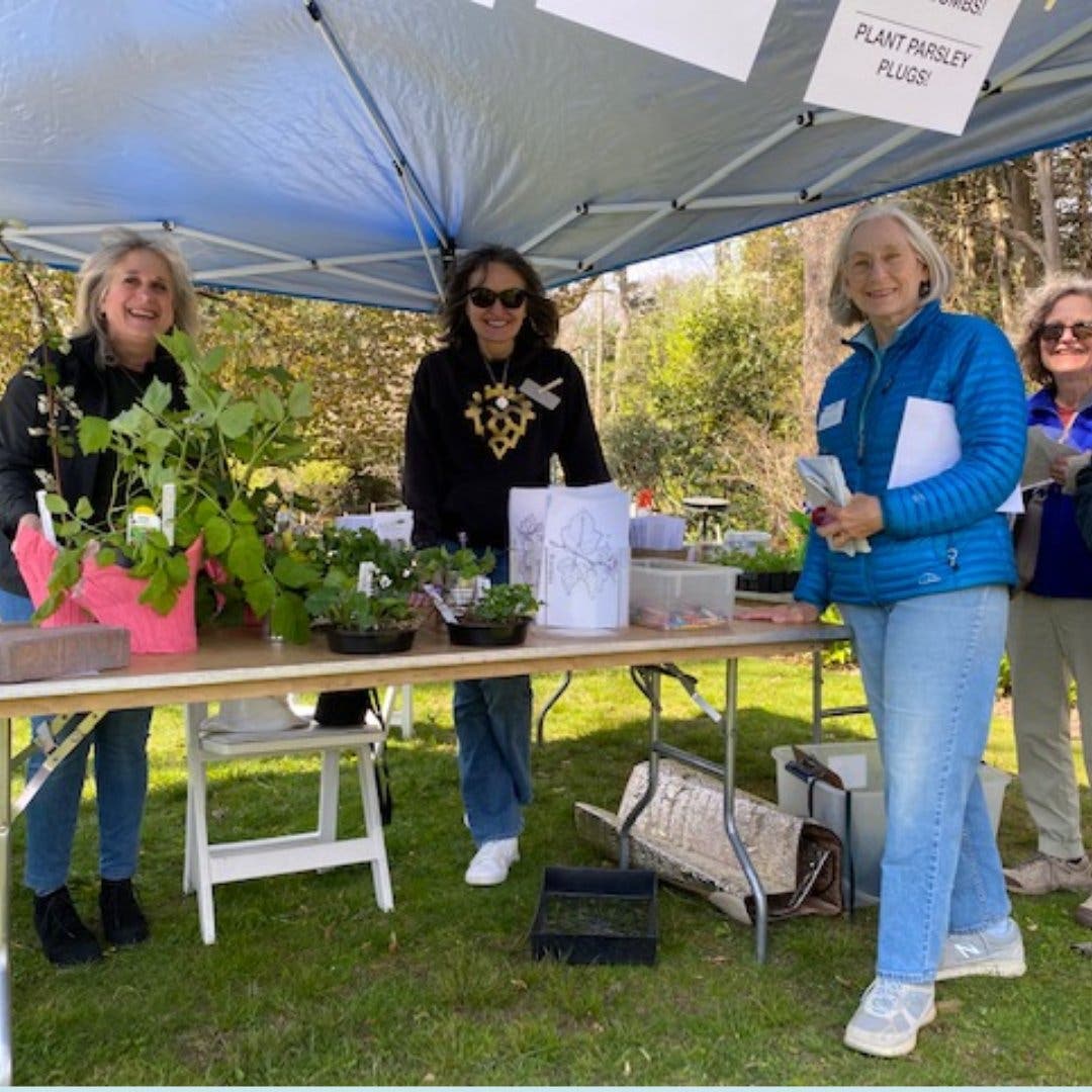 Apr 21 | Arbor Earth Day | Stamford, CT Patch