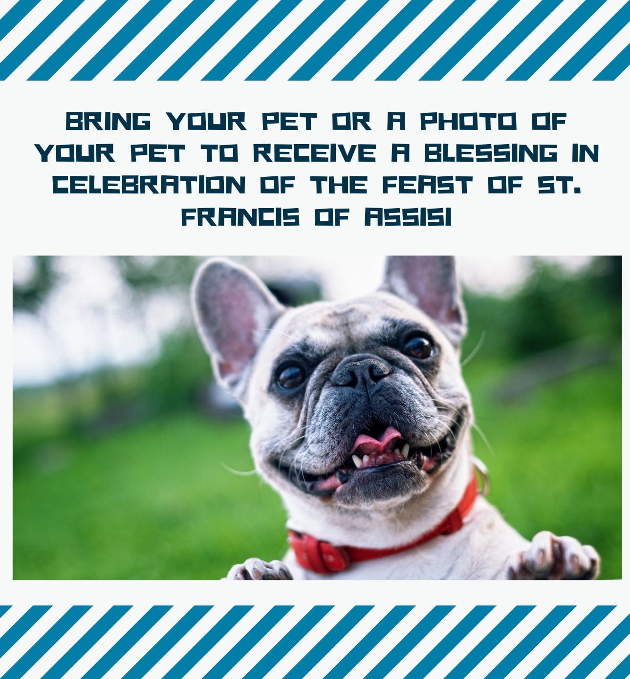 Oct 6 | Blessing of the Animals | The Haddams, CT Patch