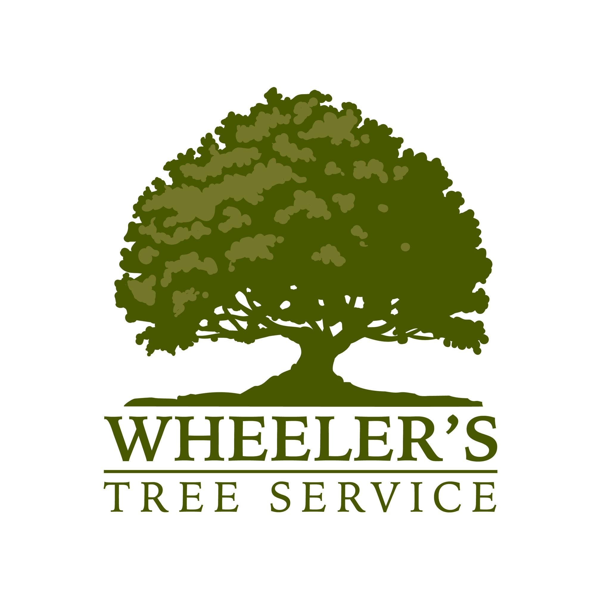 Wheeler's Tree Service - McKinney, TX Patch