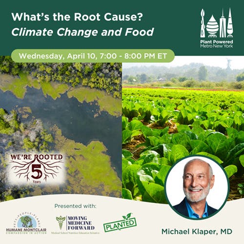 Apr 10 | FREE WEBINAR: WHAT'S THE ROOT CAUSE? Climate Change & Food ...