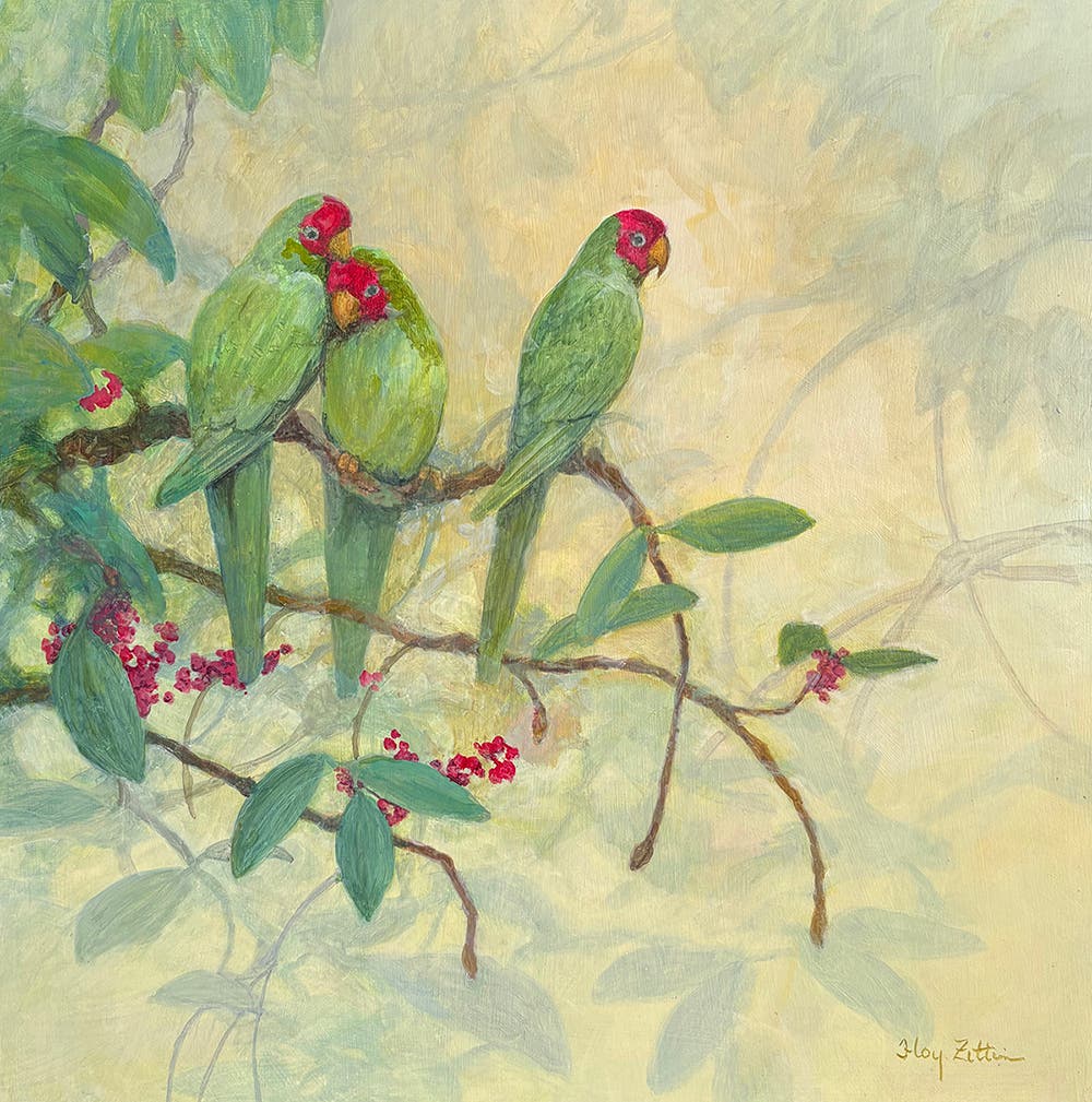 Apr 3 | “Bay Area Birds—Natural Wonders Close at Hand” by Floy Zittin ...