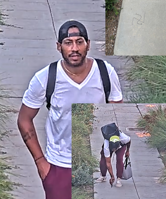 Antisemitic Graffiti Drawn Outside Beverly Hills School, Suspect Caught ...