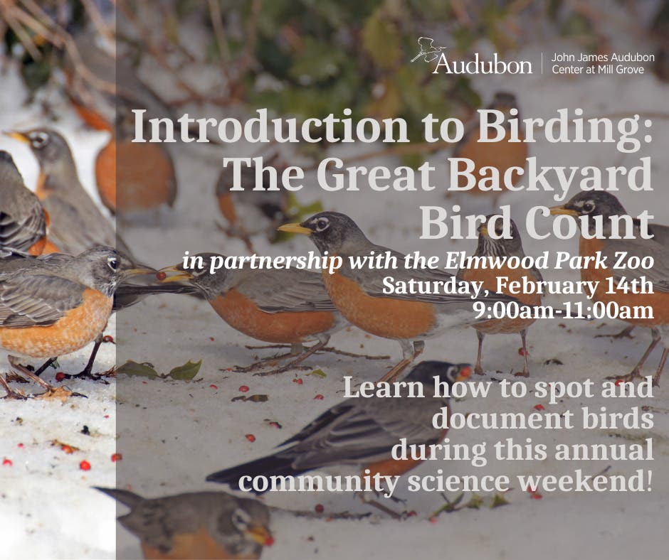 Feb 14 | Introduction to Birding: The Great Backyard Bird Count ...