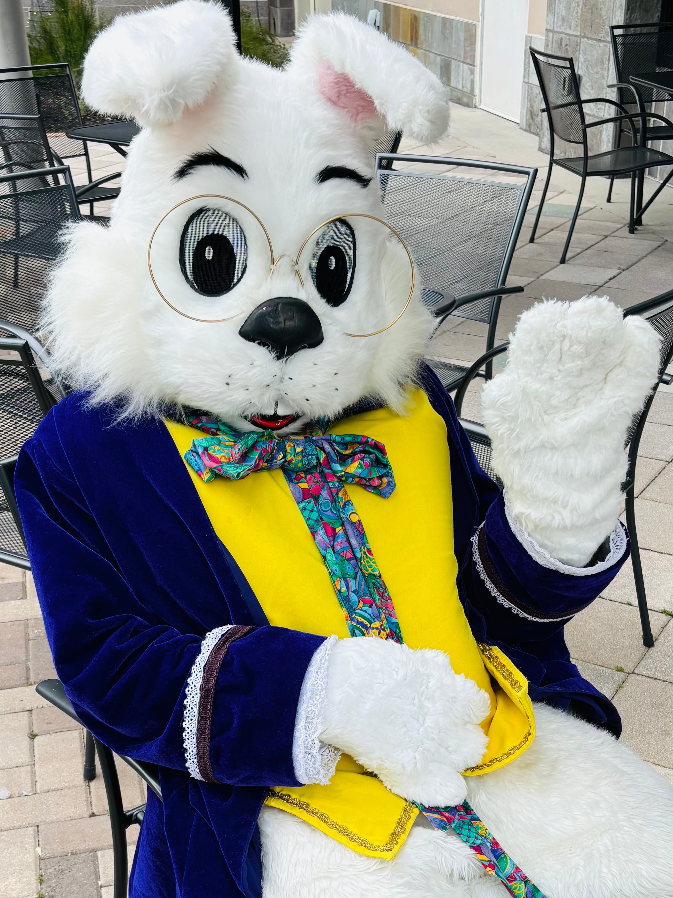 Mar 17 | Easter Bunny Photos | Tampa, FL Patch