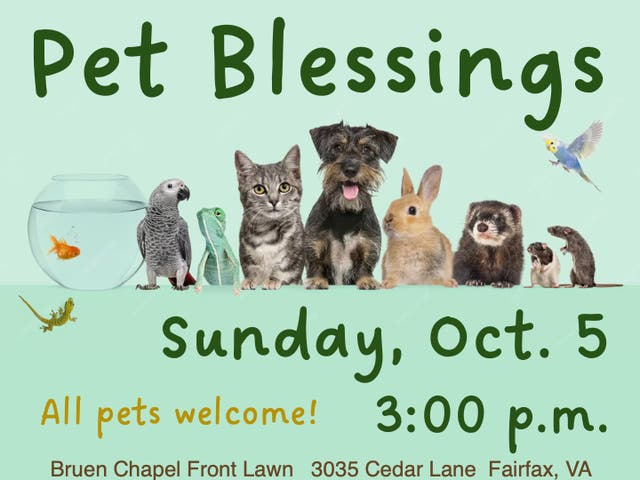 Oct 5 | Pet Blessings on the Lawn | Fairfax City, VA Patch