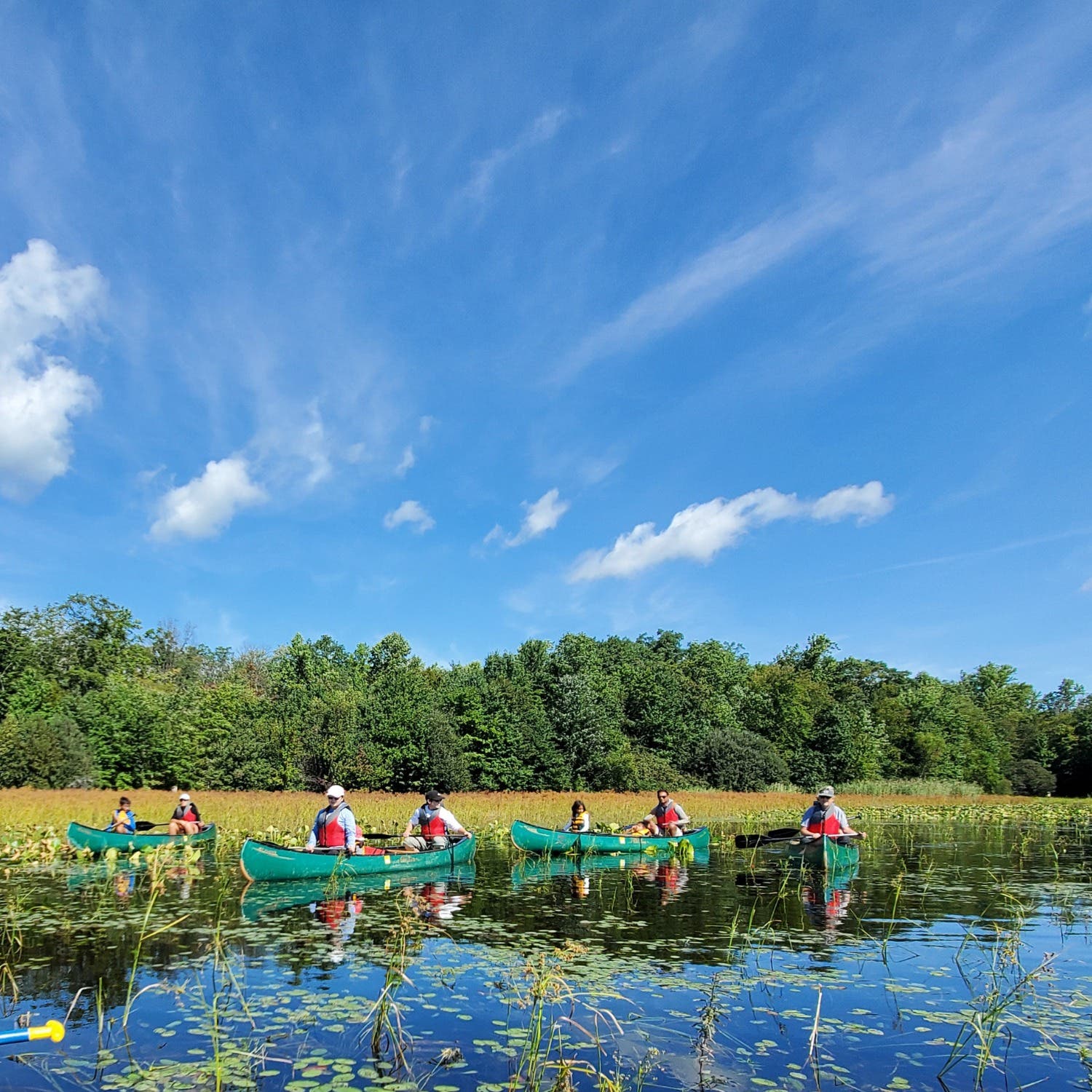 Jun 29 | Wildlands Conservancy – Minsi Lake Canoe Paddle - June 29 ...