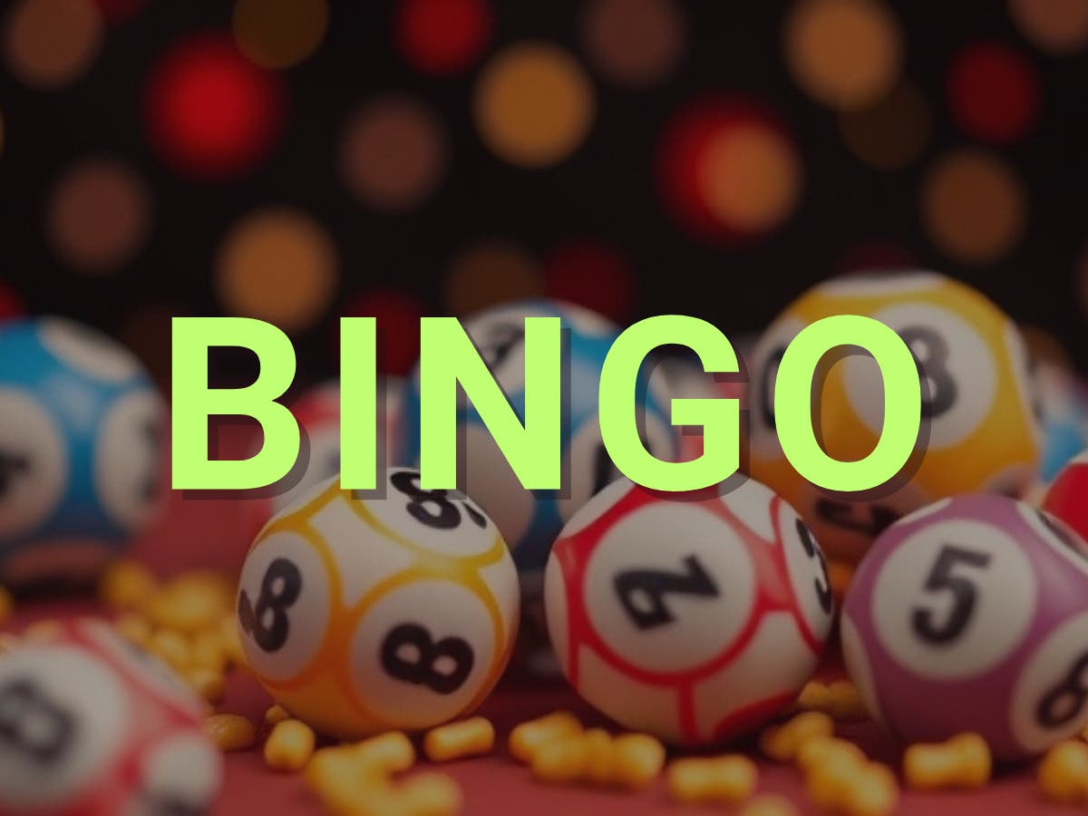 May 25 | Bingo | New Port Richey, FL Patch