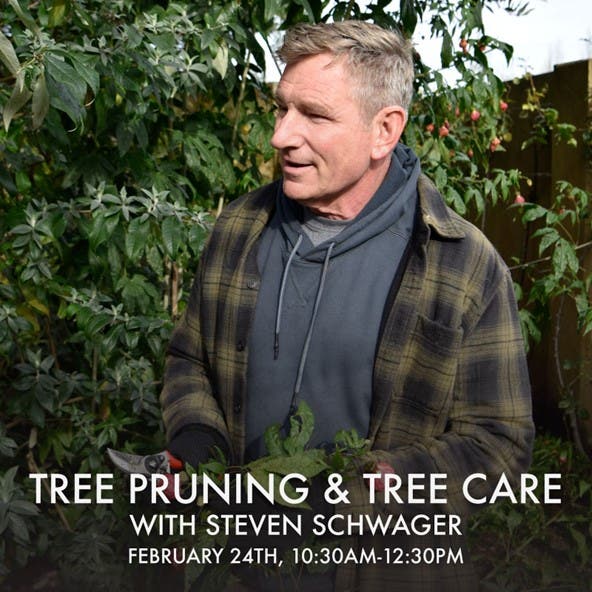 Feb 24 | Tree Pruning & Care with Steven Schwager at Cornerstone Sonoma ...