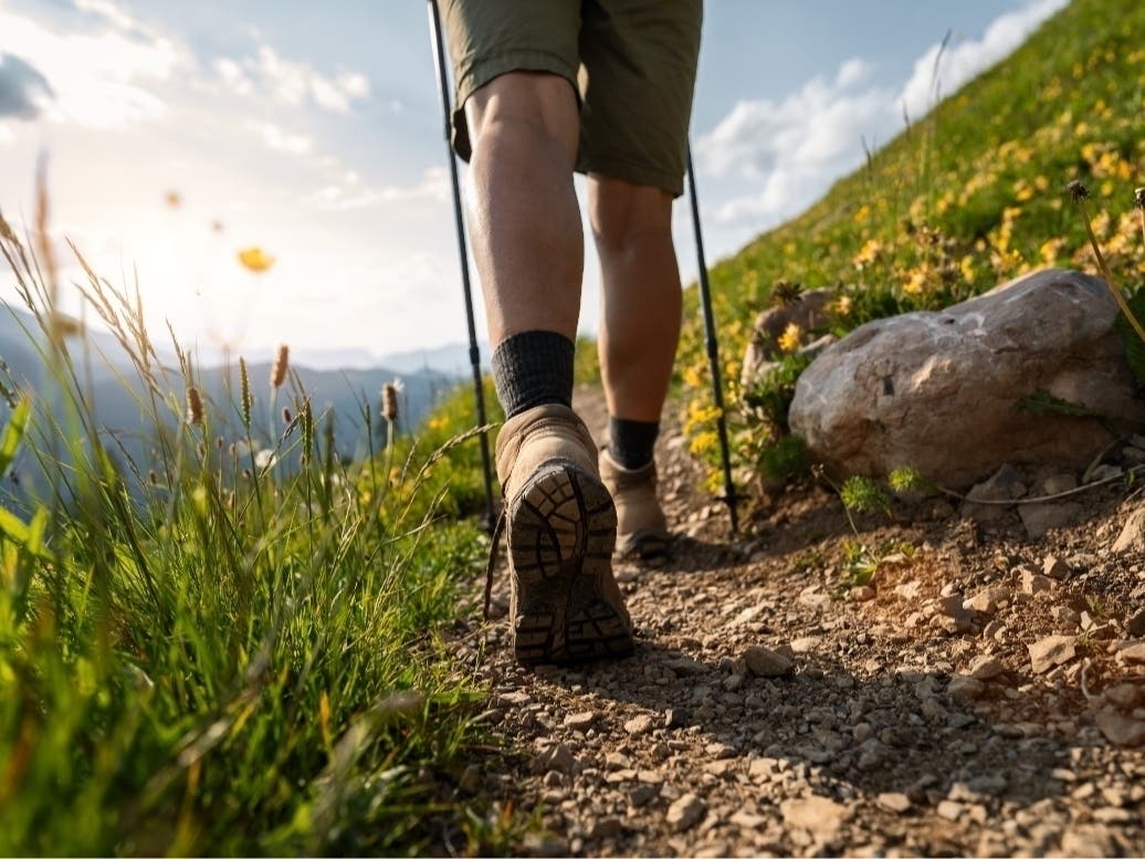 6 Can't‑Miss Hikes Near Canton | Canton, GA Patch