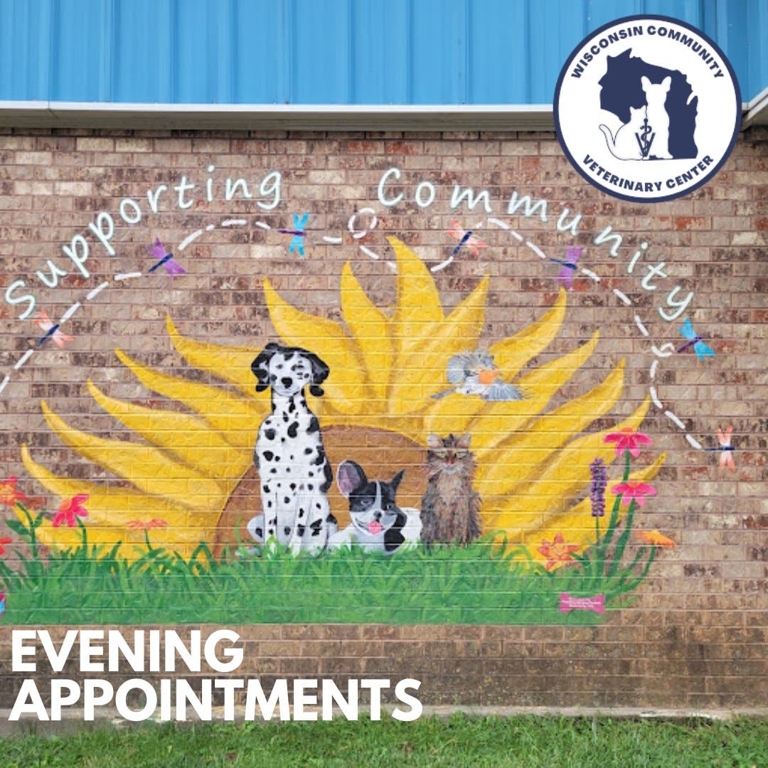 Mar 5 | Evening Wellness Appointments | Madison, WI Patch