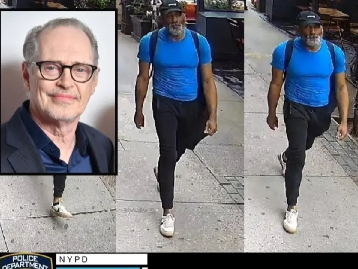 Steve Buscemi Attacker Indicted, Sucker Punched Actor: DA | New York ...